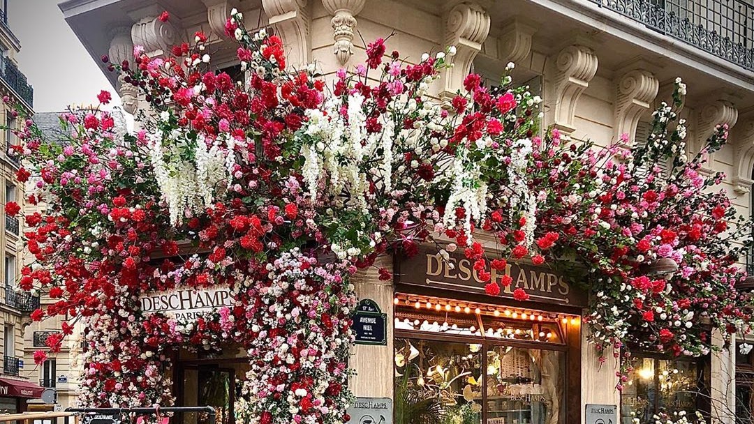 Paris en Fleurs : Nos 10 Meilleurs Fleuristes